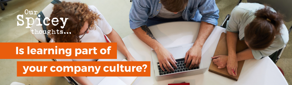 Is Learning Part of Your Company Culture? | Spice HR